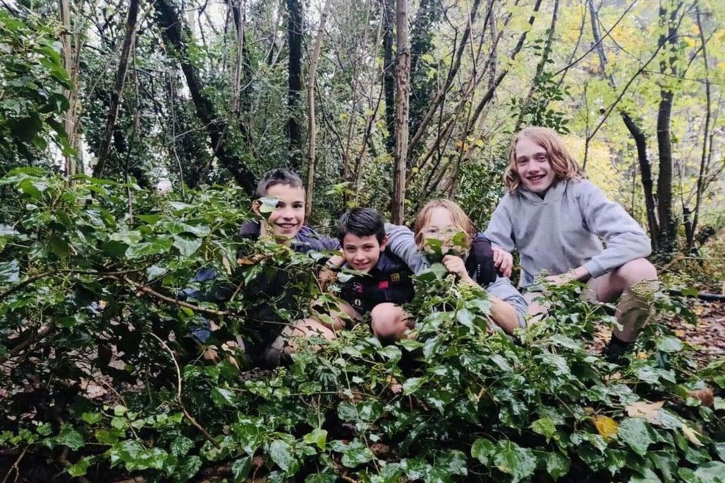 Actiecomité Red het speelbos haalt slag thuis: Raad van State vernietigt RUP Aldi-site | GVA